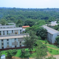 Dilla University – Dilla University, University of Green Land